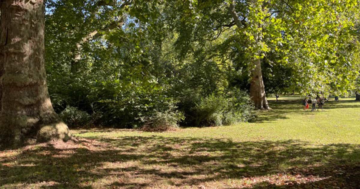 Best Parks for Running in London | Fitness Lab